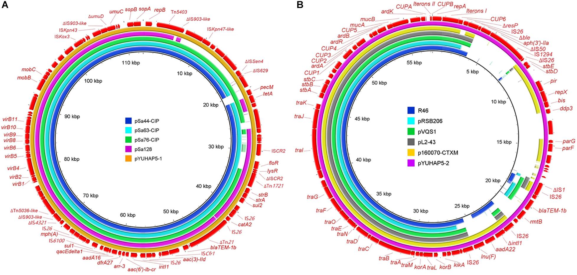 How we 'see' everything in water
