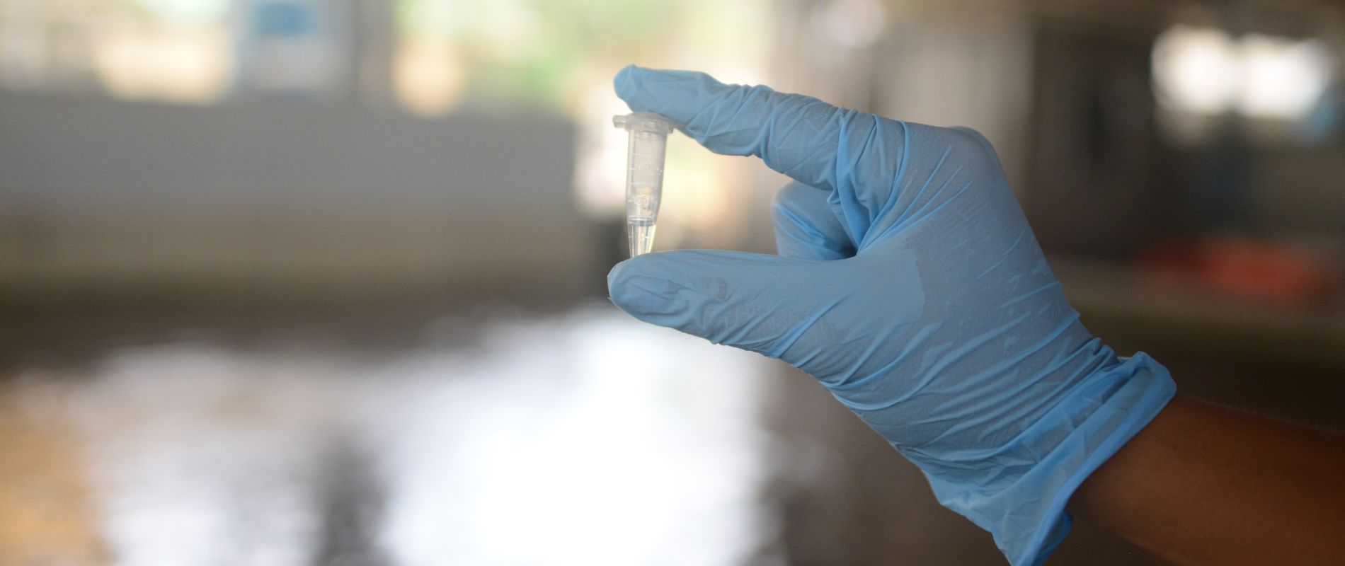 Luminis Launches DNA Field Extraction Kit